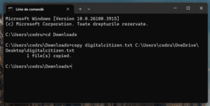 Ce este Linia de comandă (CMD)? - Digital Citizen România