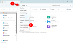 Cum deschizi Panoul de control în Windows 11 - Digital Citizen România