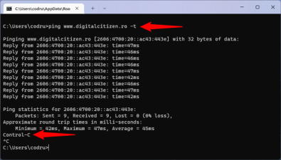 Linia de comandă (CMD): 10 comenzi de rețea pe care trebuie să le știi