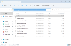 Unde sunt stocate cookie-urile în Windows? (Chrome, Firefox, Edge, Opera)