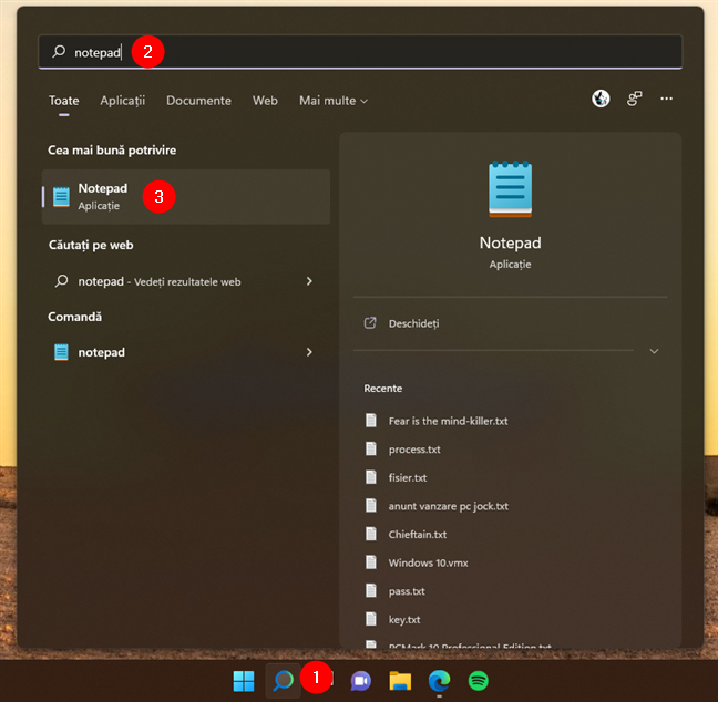 Cum folosești Notepad în Windows 11 - Digital Citizen România